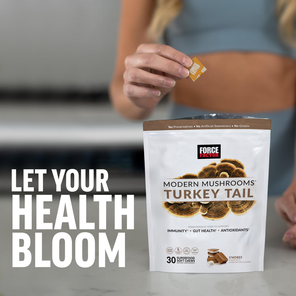 Tasty turkey tail mushrooms for immunity
