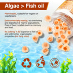 tasty vegan omega 3 gummies for kids