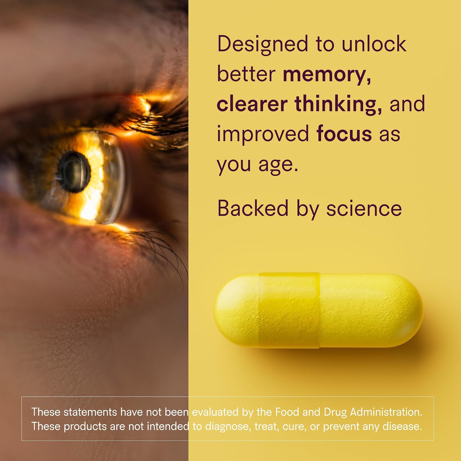 Taurine and choline for cognitive support