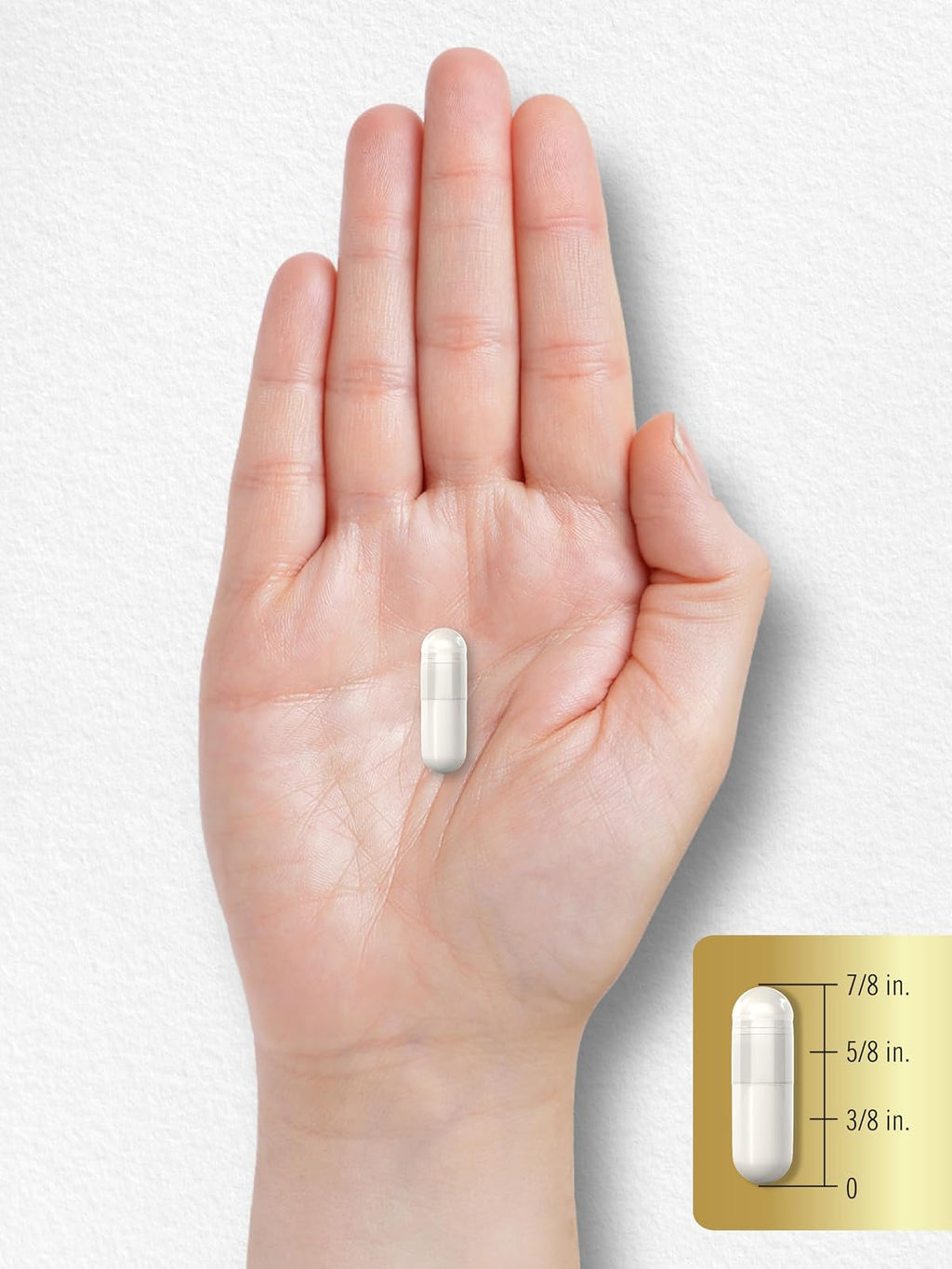 taurine benefits for active lifestyle