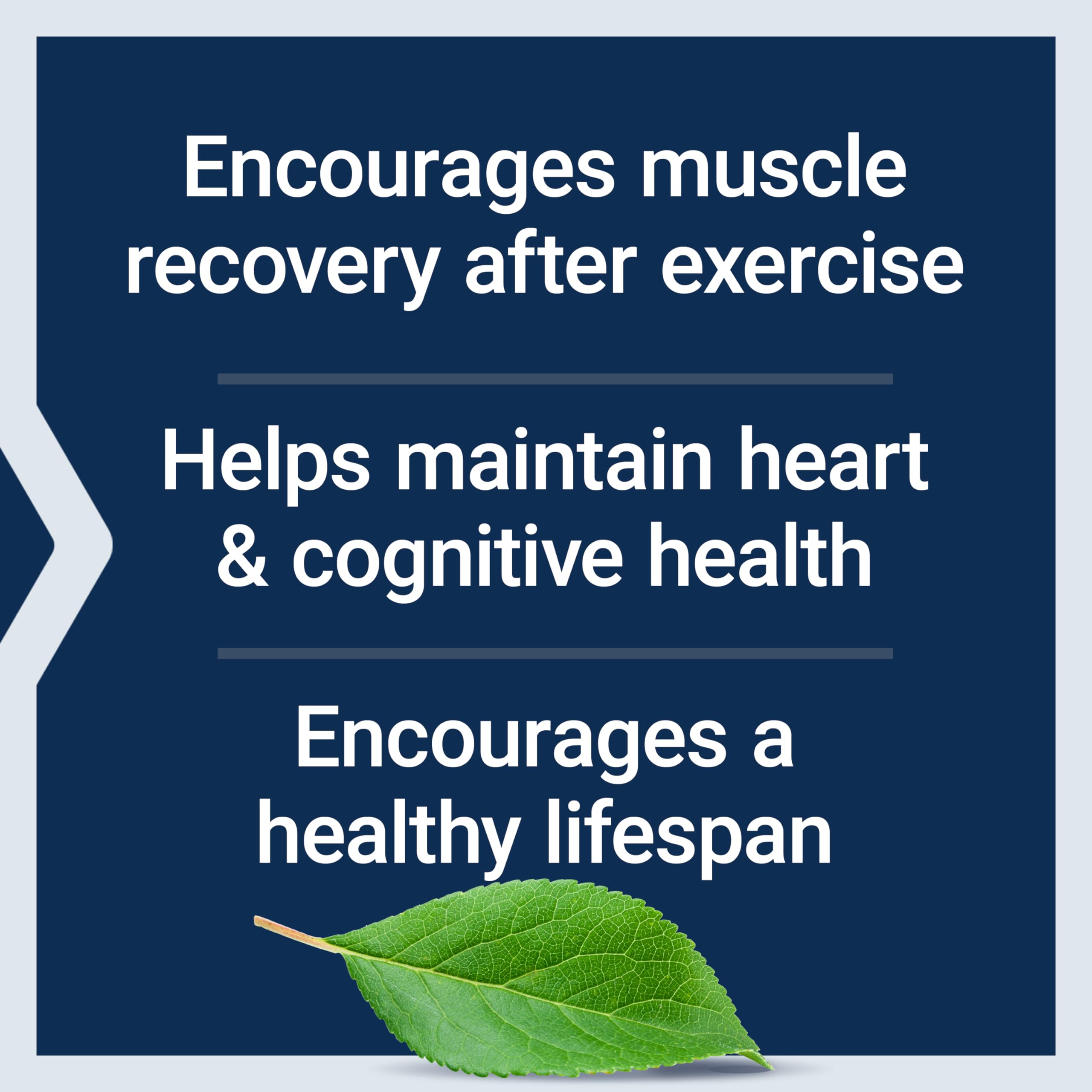 Taurine for enhanced liver function