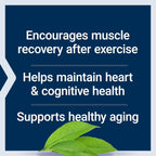 taurine powder for muscle recovery