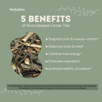 Tearberry tea for wellness and health