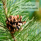 TEARELAE herbal tea for immune support
