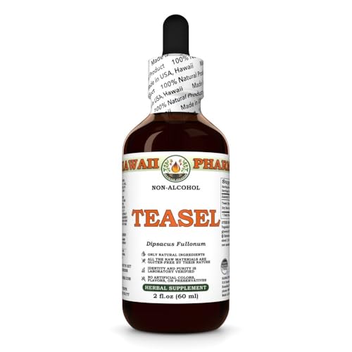 Teasel alcohol-free extract for joints