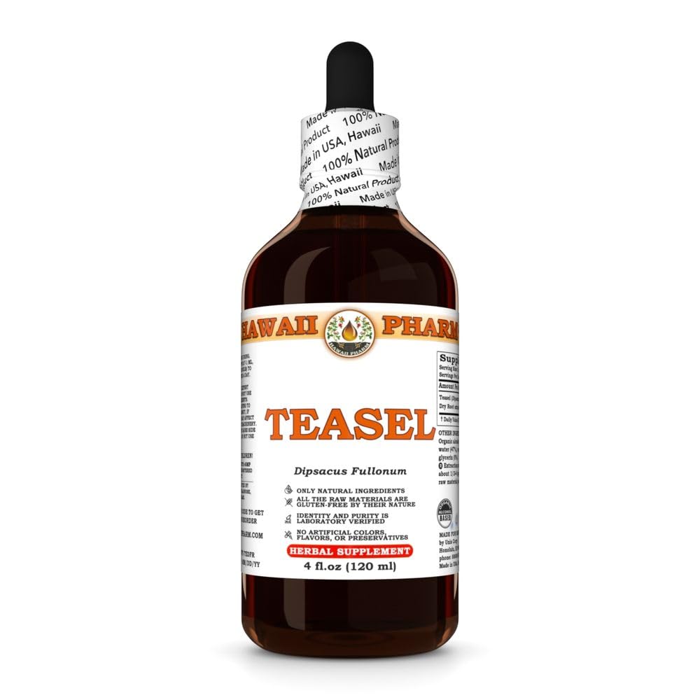 Teasel dry root tincture benefits