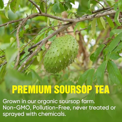 TEAWOO soursop tea bags for immune support