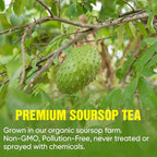 TEAWOO soursop tea bags for immune support
