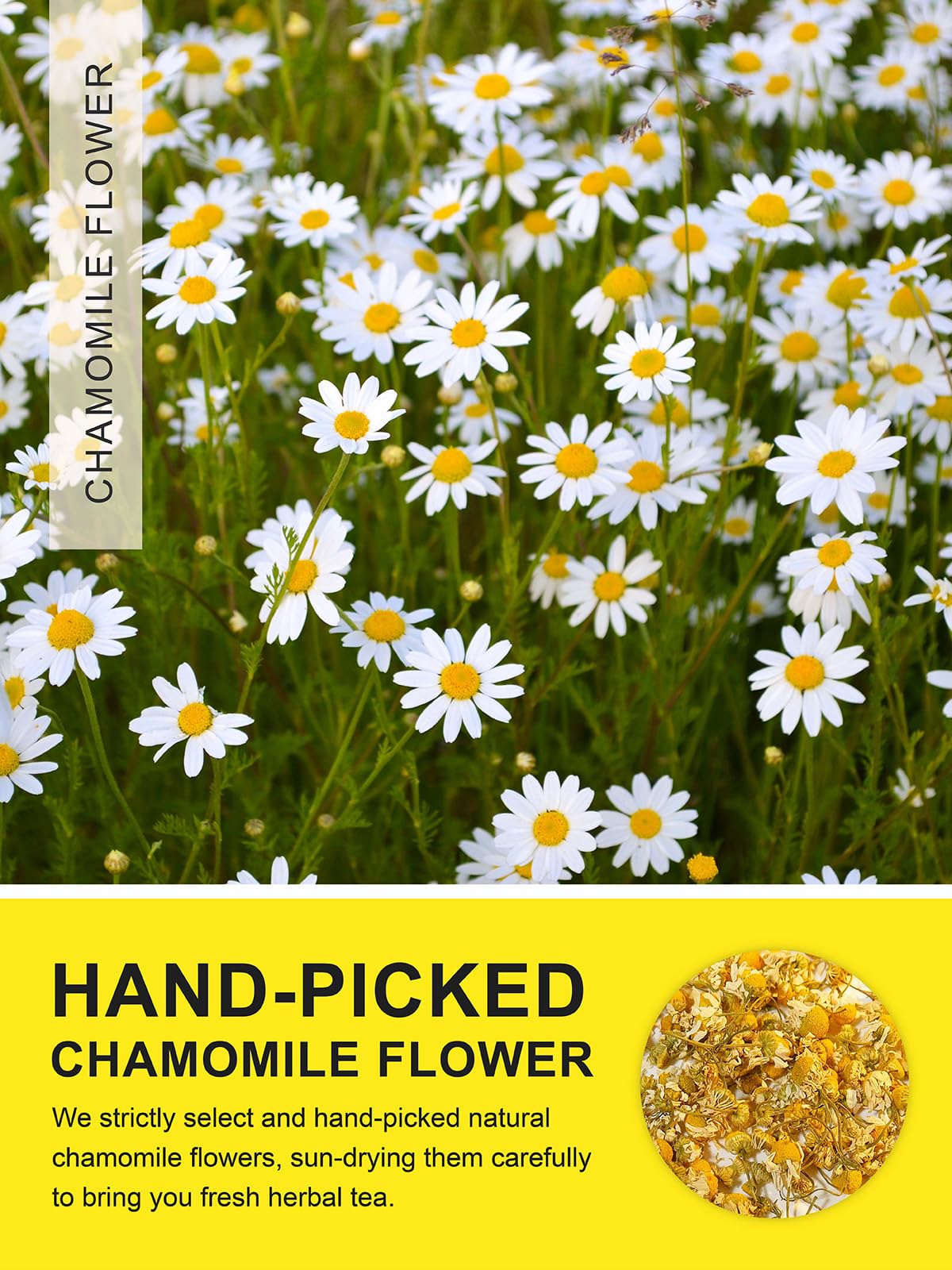 TeeLux herbal infusion chamomile tea