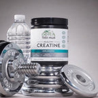 TERRA ORIGIN creatine for athletes