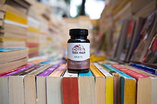 Terra Origin ginkgo biloba for daily use