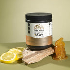 TERRA ORIGIN healthy gut powder benefits