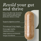 Terraflora synbiotic for digestive health
