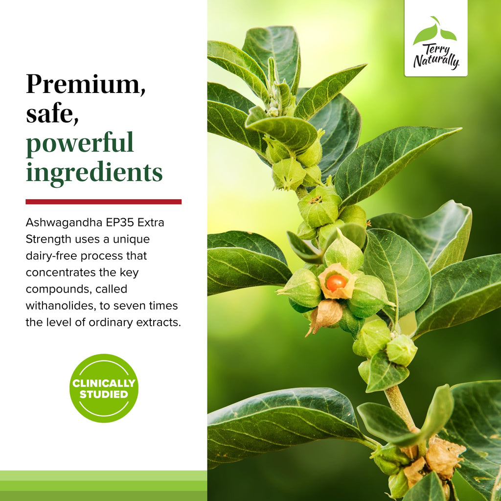 Terry Naturally ashwagandha for daily health