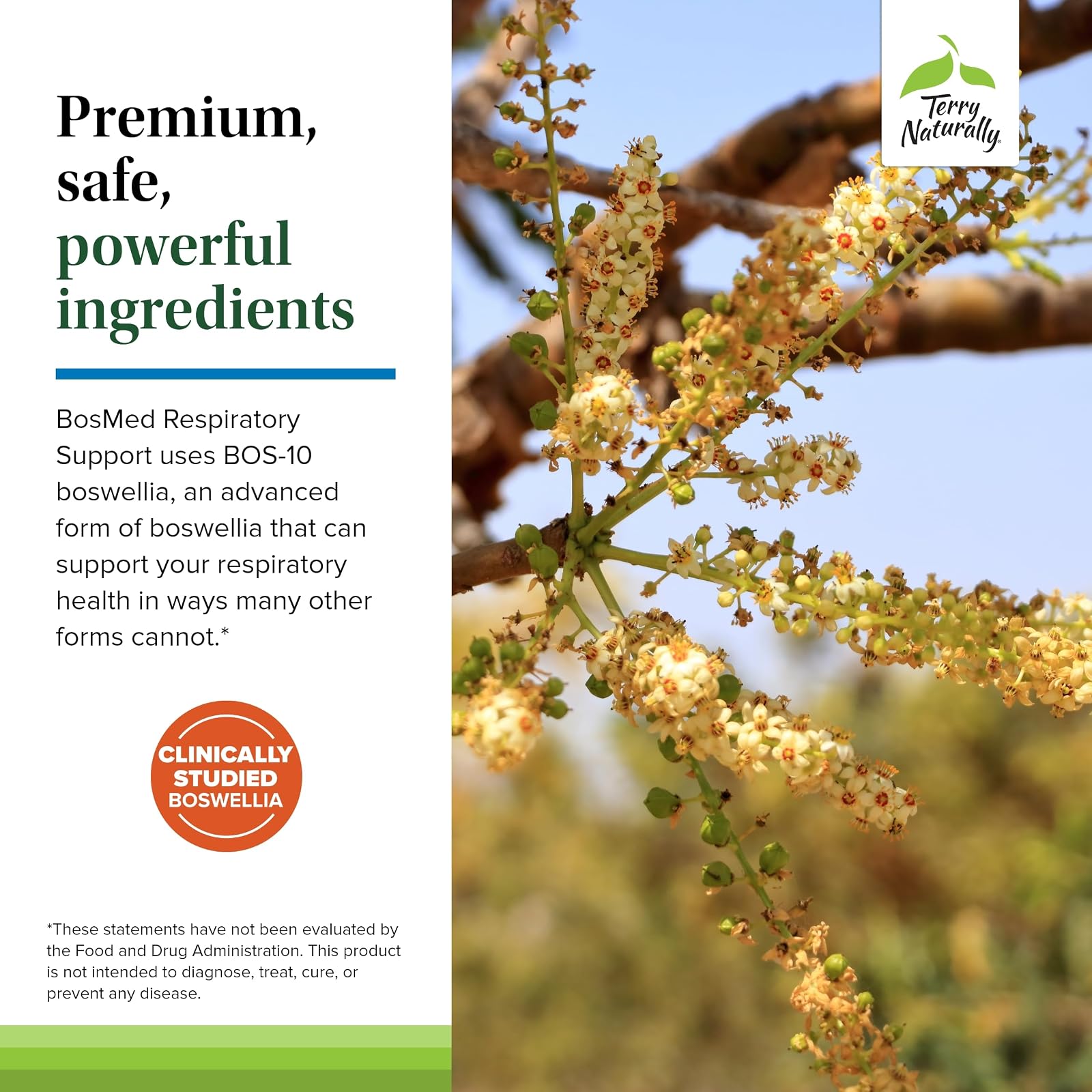 Terry Naturally BosMed immune support