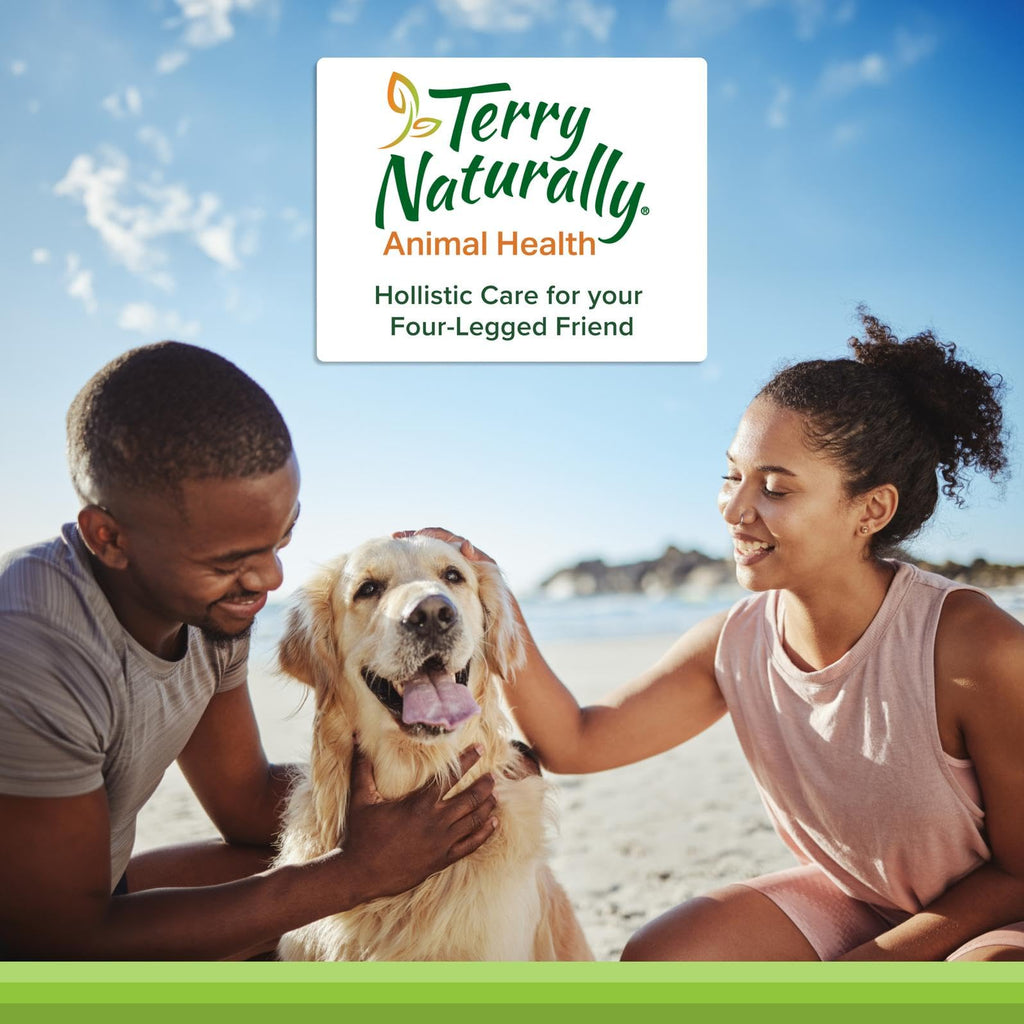Terry Naturally dog skincare solution