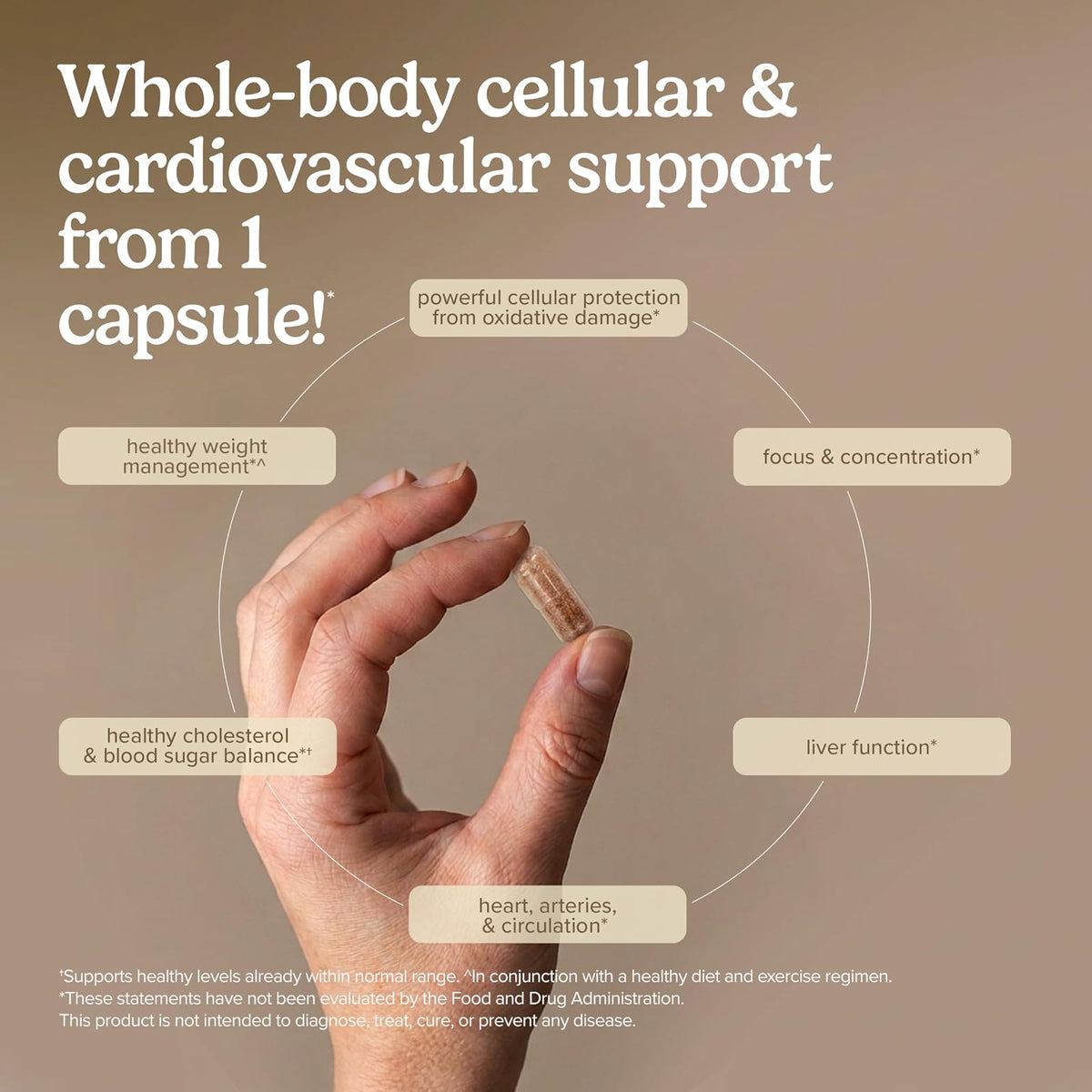 Terry Naturally OPC for heart health