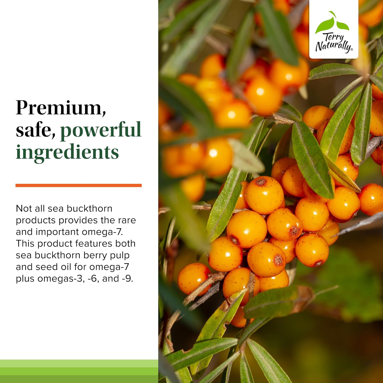 Terry Naturally softgels for daily nutrition