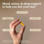 Terry Naturally turmeric tea alternative