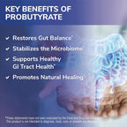 Tesseract multivitamins for gut health