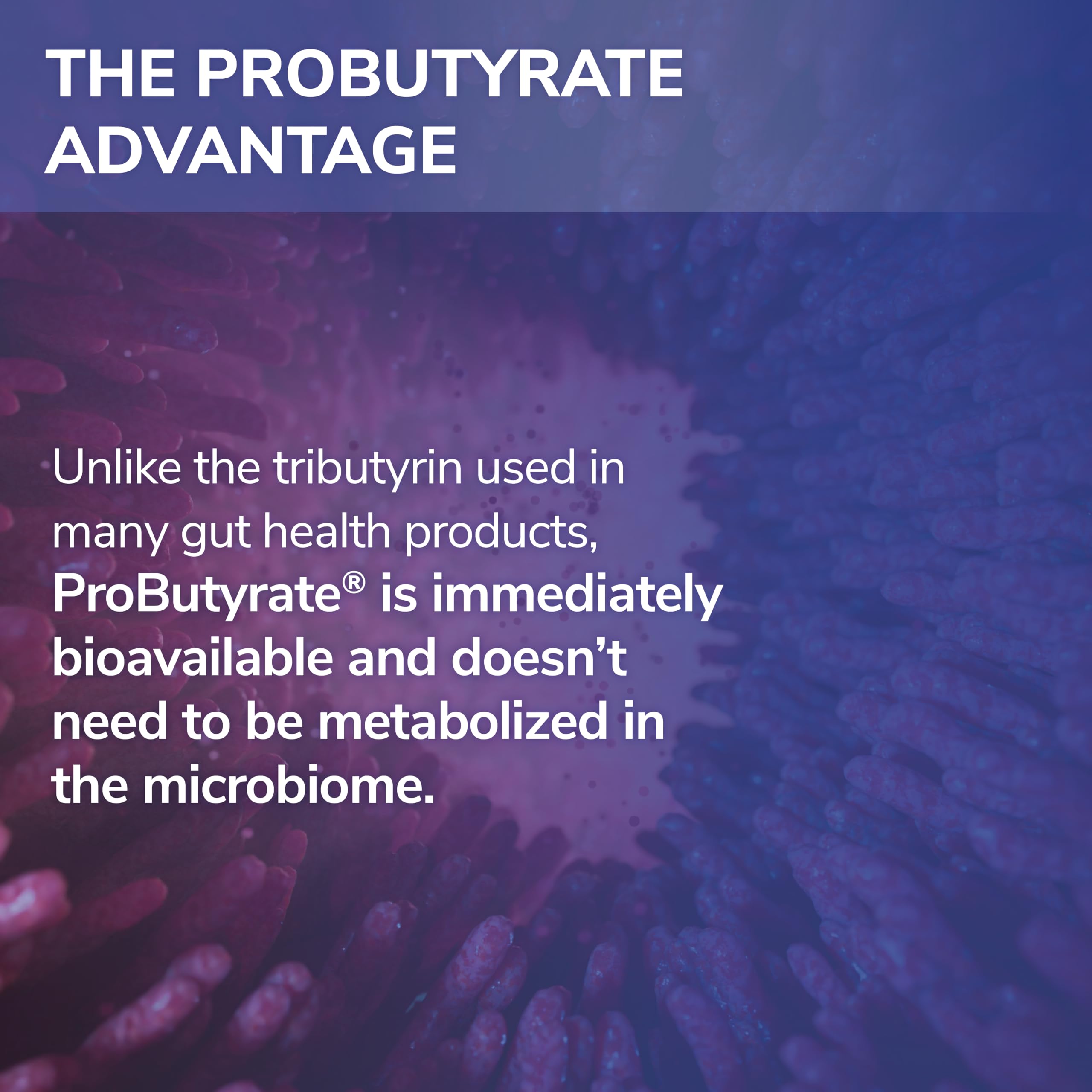 Tesseract ProButyrate for optimal gut health