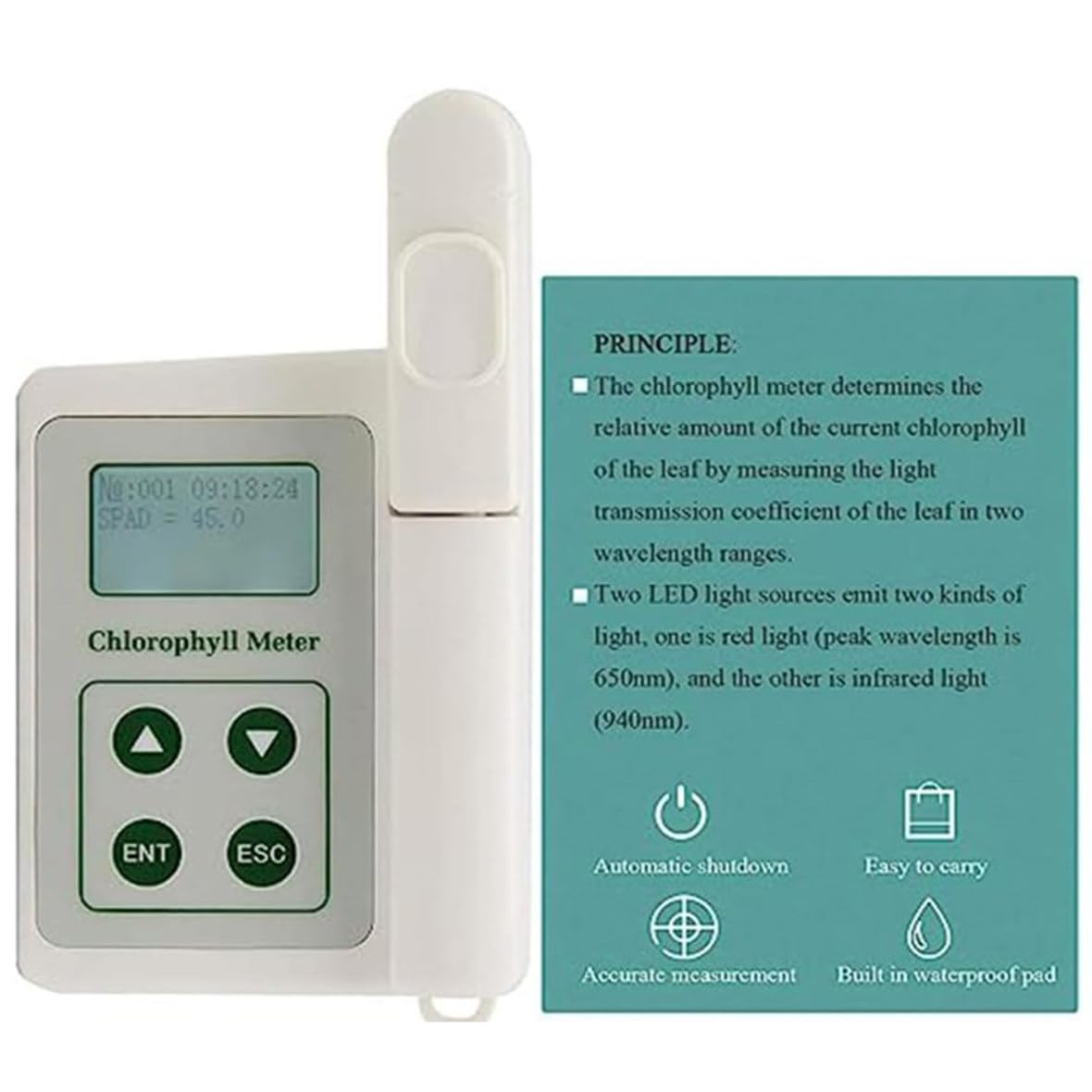 test plant health with chlorophyll meter