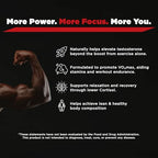 Testosil multivitamin for women