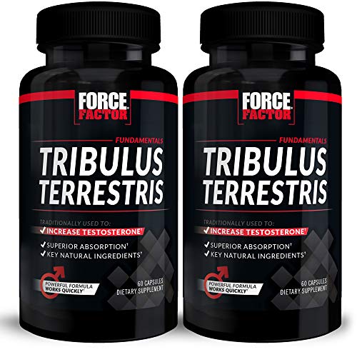 testosterone booster with tribulus extract