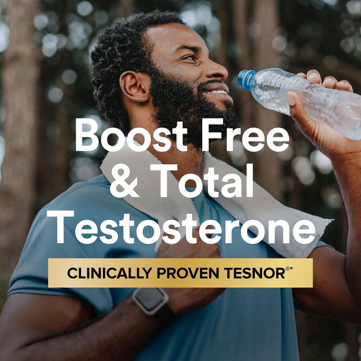 testosterone support multivitamin for men