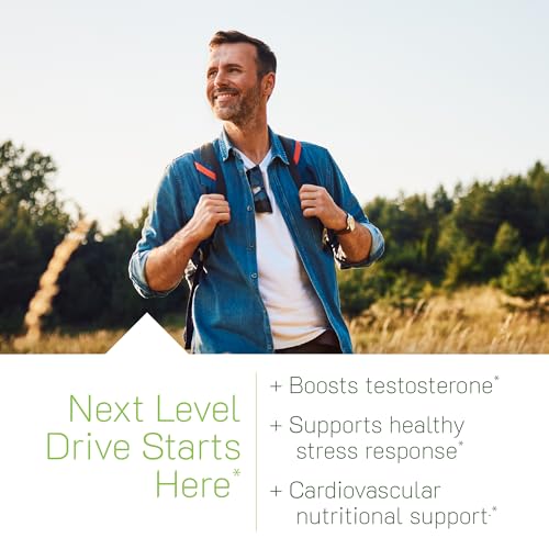 testosterone support multivitamin formula