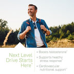 testosterone support multivitamin formula