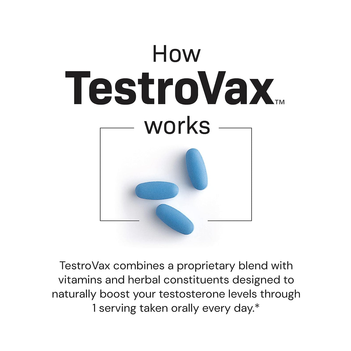 TestroVax multivitamin for seniors
