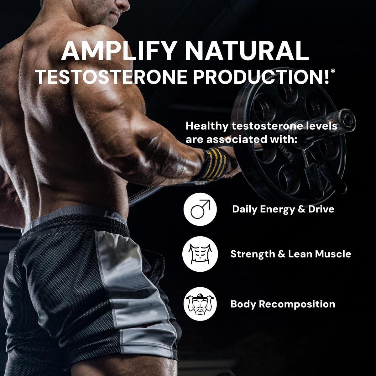 TestroVax whole food multivitamin