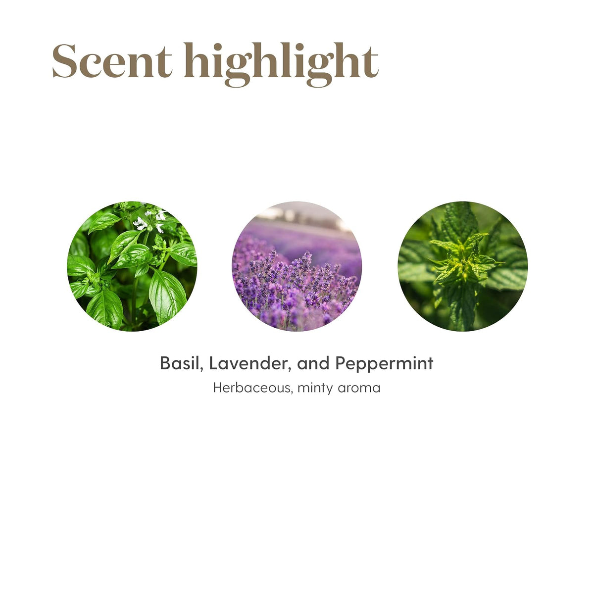 therapeutic herbal oil for relaxation