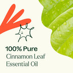 therapeutic uses of cinnamon oil