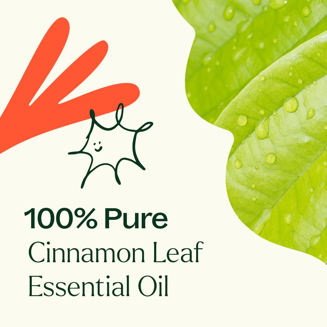 therapeutic uses of cinnamon oil