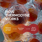 ThermoDyne fat burner for energy boost