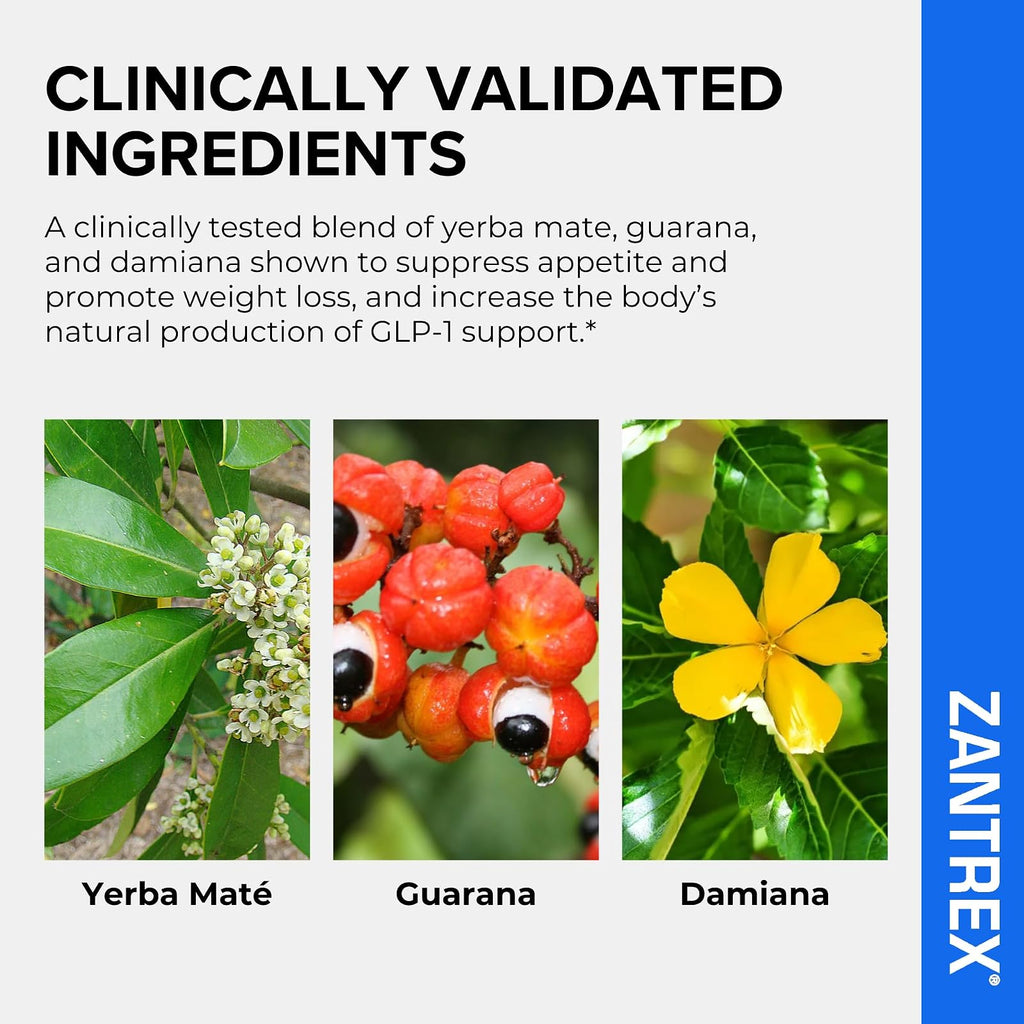 thermogenesis support from Zantrex