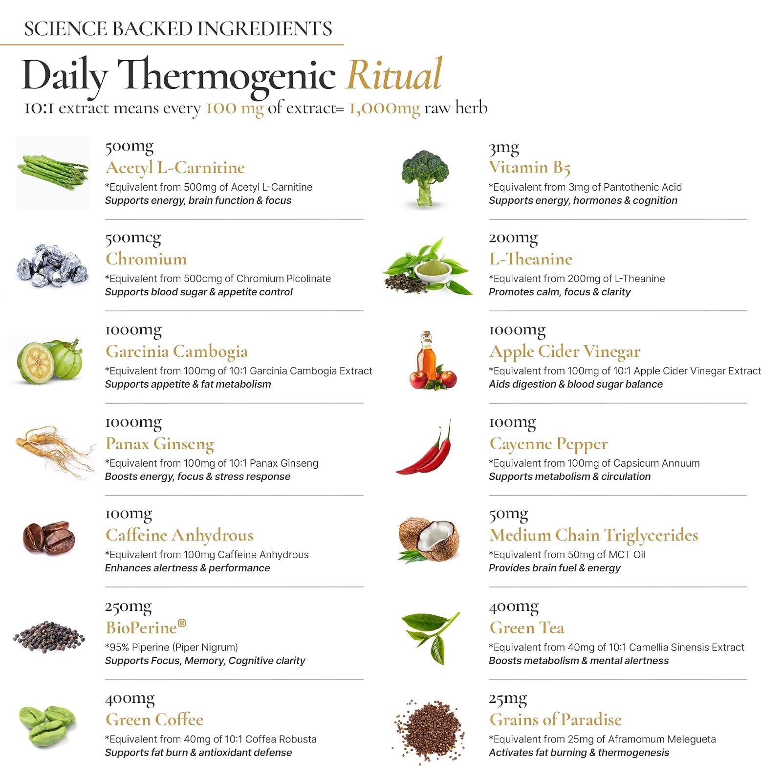 thermogenic fat burners for metabolism