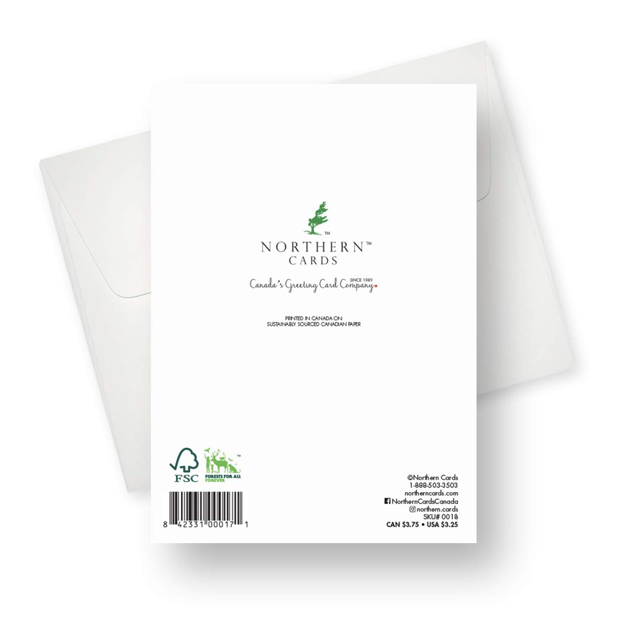 thoughtful echinacea gift for healing