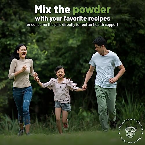 three-pack mushroom supplement bundle