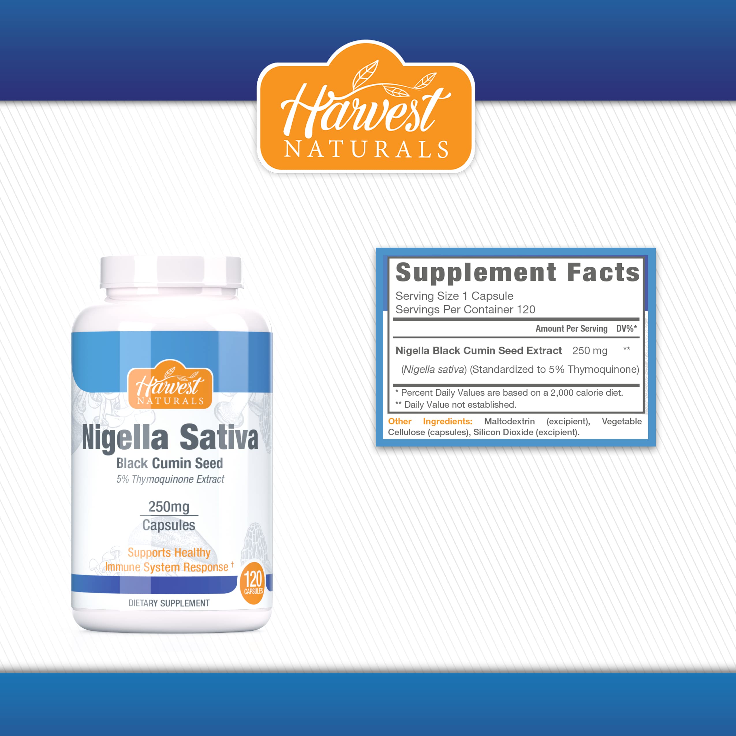 thymoquinone for enhanced health support