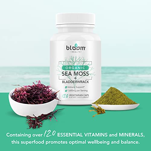 thyroid health sea moss supplements