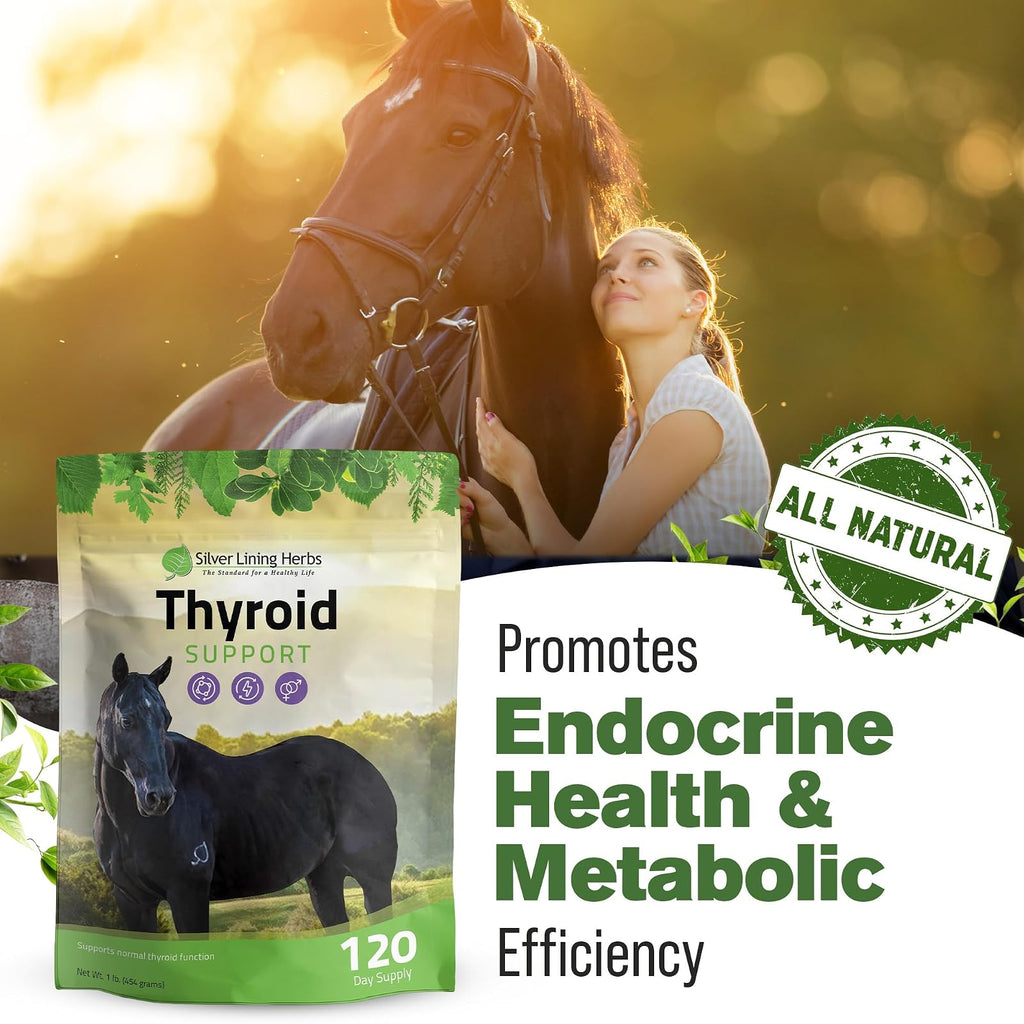 thyroid health supplement for vitality