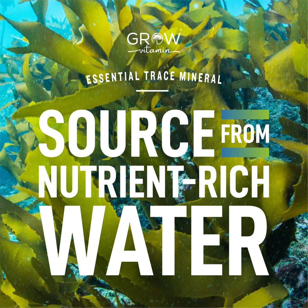 thyroid health with sea kelp extract