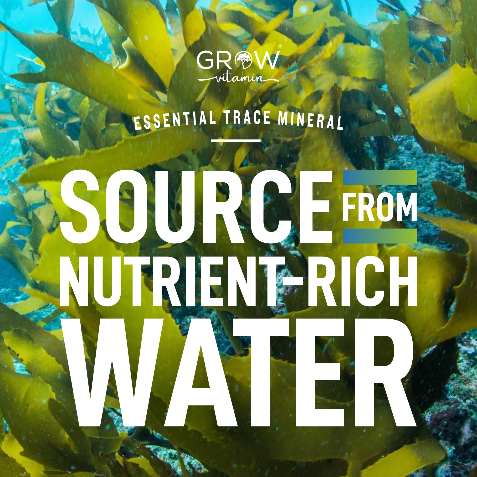 thyroid health with sea kelp extract