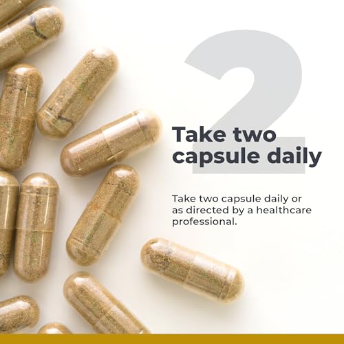 thyroid support for energy levels