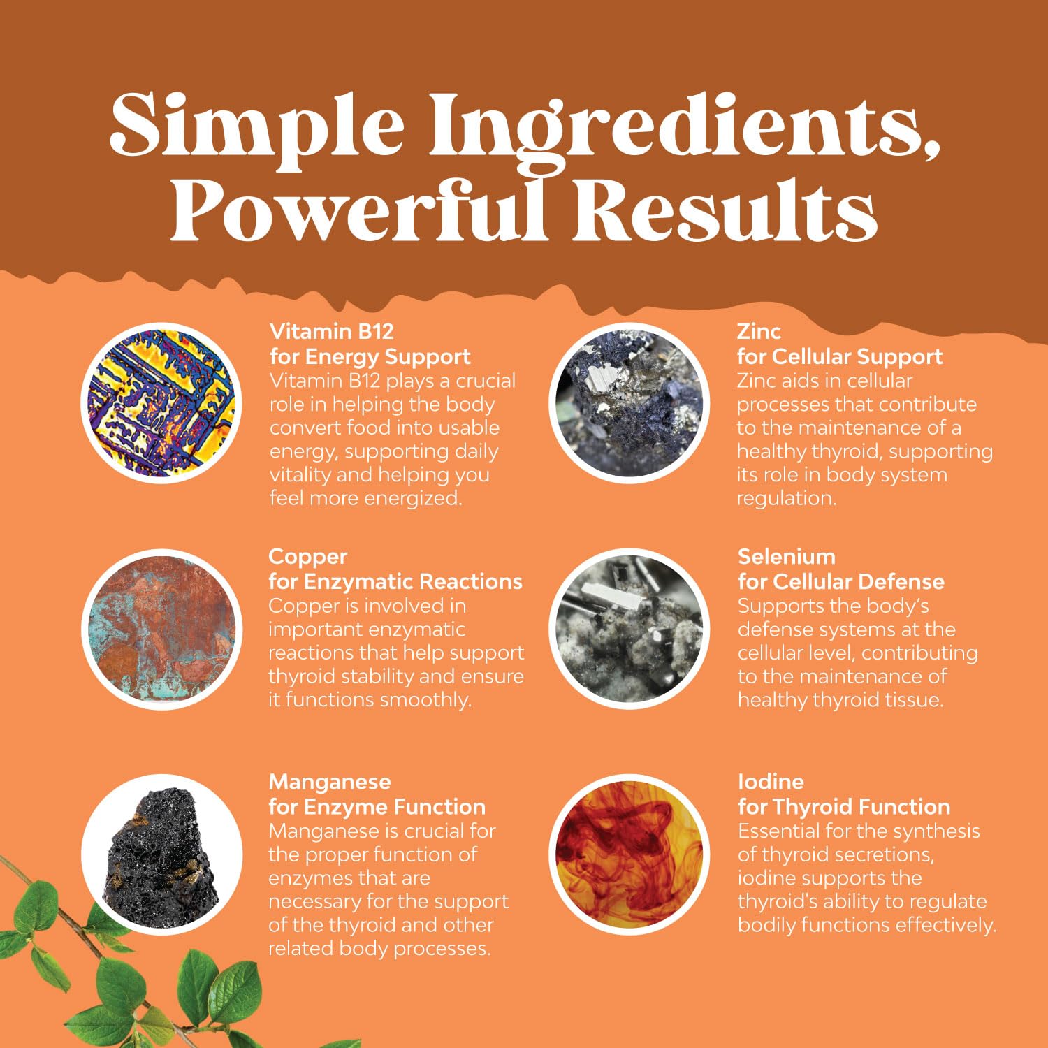 thyroid support gummies for women
