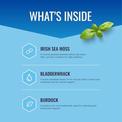 thyroid support with bladderwrack