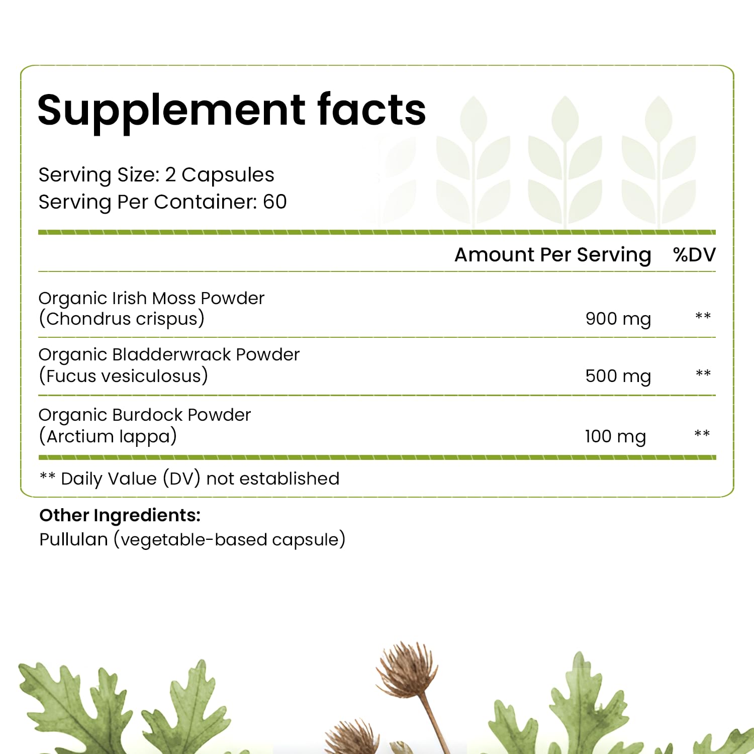thyroid support with burdock root